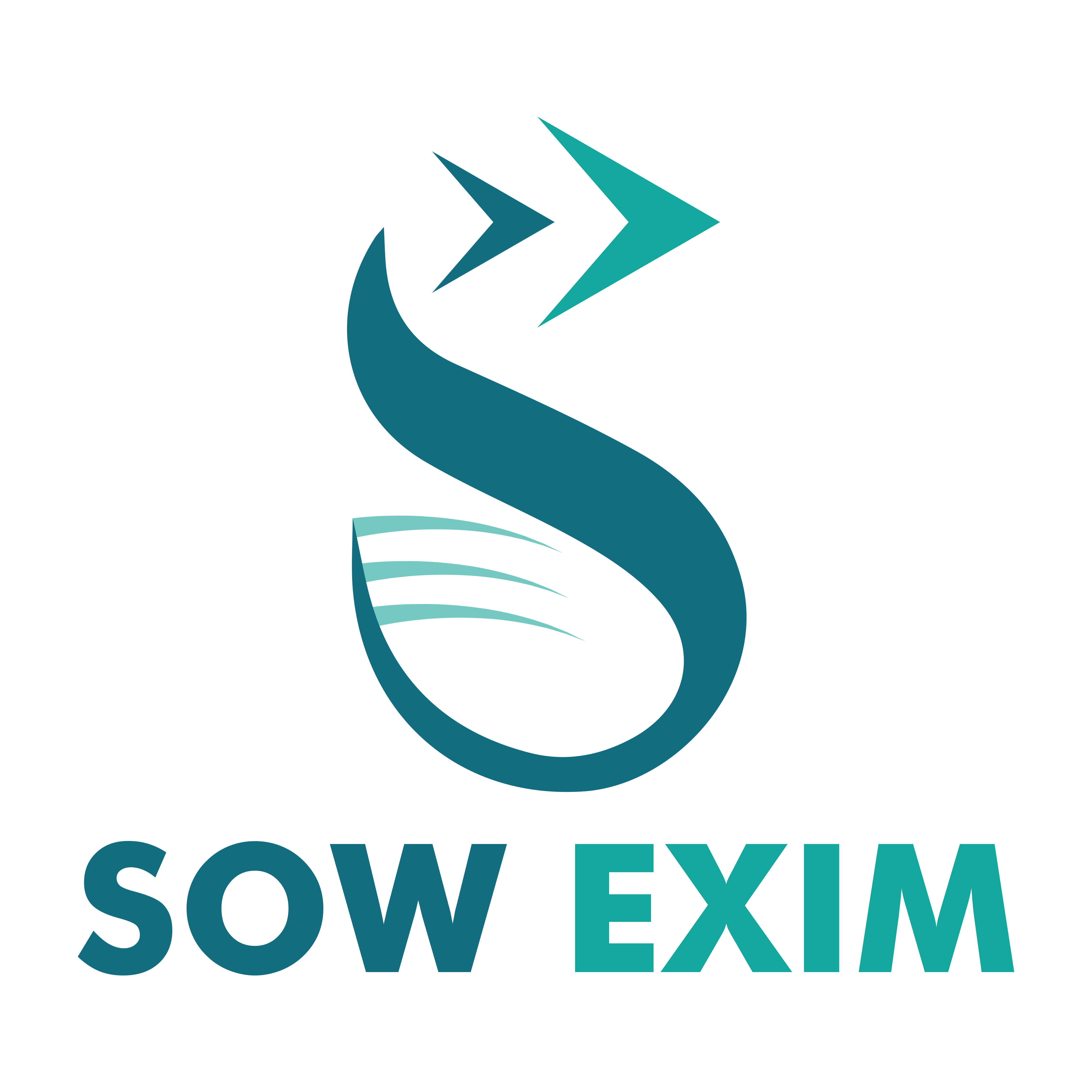 SOW EXIM Best export services